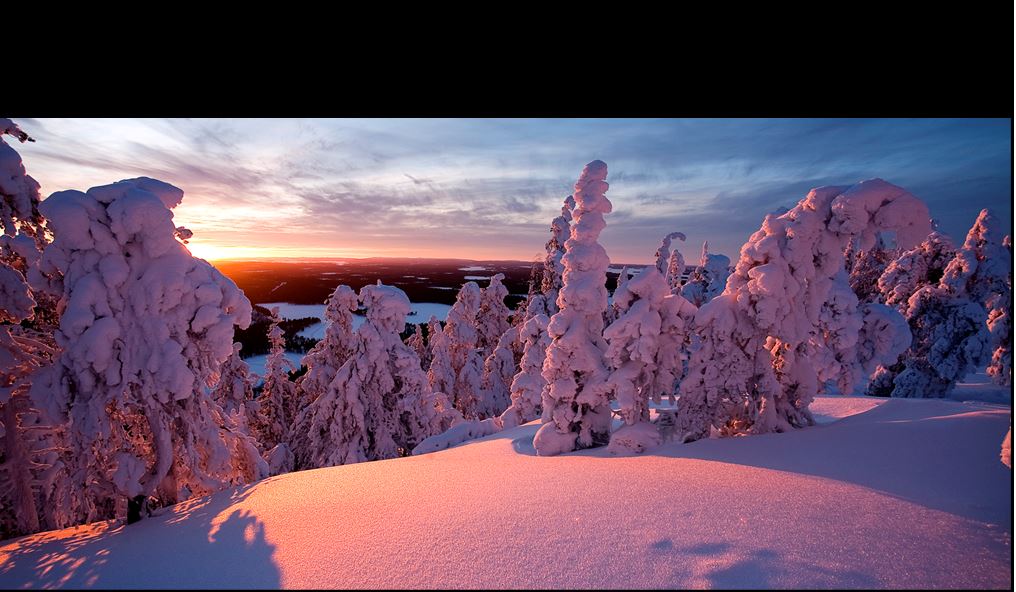 TWIN RIVER BANK – Lewis Clark Valley's Community Bank